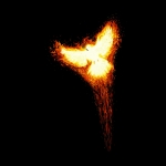 Download Fantasy Phoenix PFP