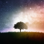 Download Nature A Dreamy World PFP