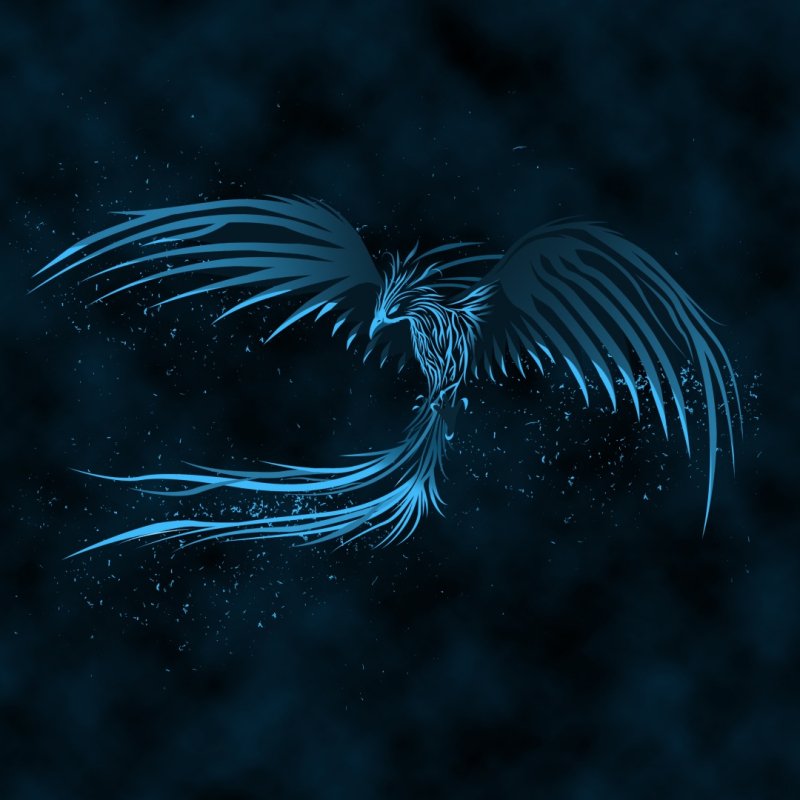 Download Bird Blue Fantasy Phoenix PFP