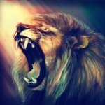 Download Animal Lion PFP