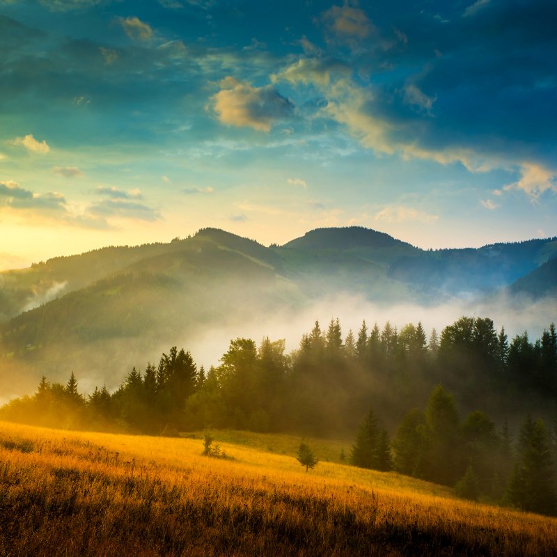 Download Nature Landscape PFP