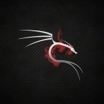 Download Technology Kali Linux PFP