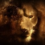 Download Animal Lion PFP