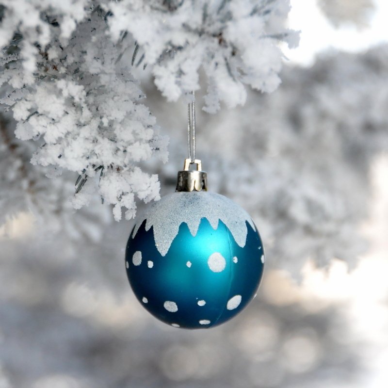 Download Holiday Christmas PFP