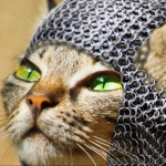 Download Funny Medieval PFP