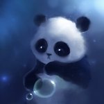 Download Animal Panda PFP