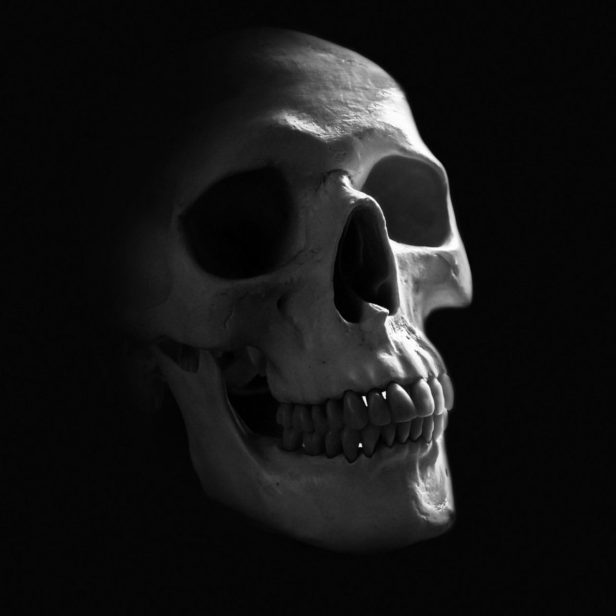 Download Dark Skull PFP