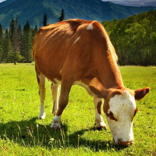 Download Animal Cow PFP