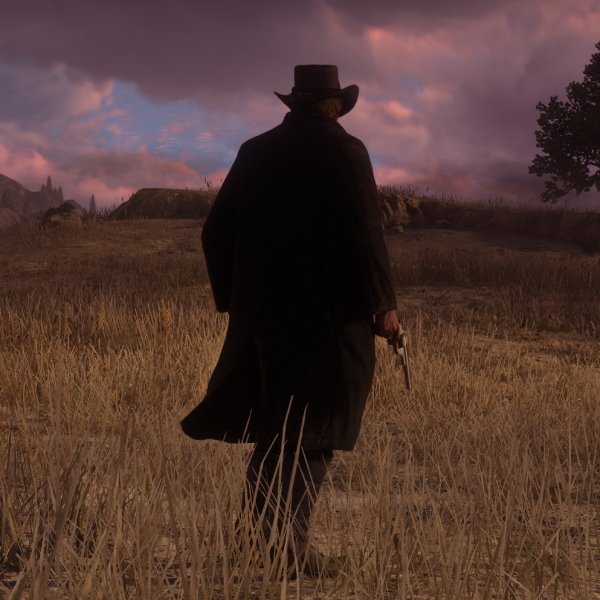 Download Video Game Red Dead Redemption 2 PFP