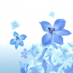 Download Nature Flower PFP