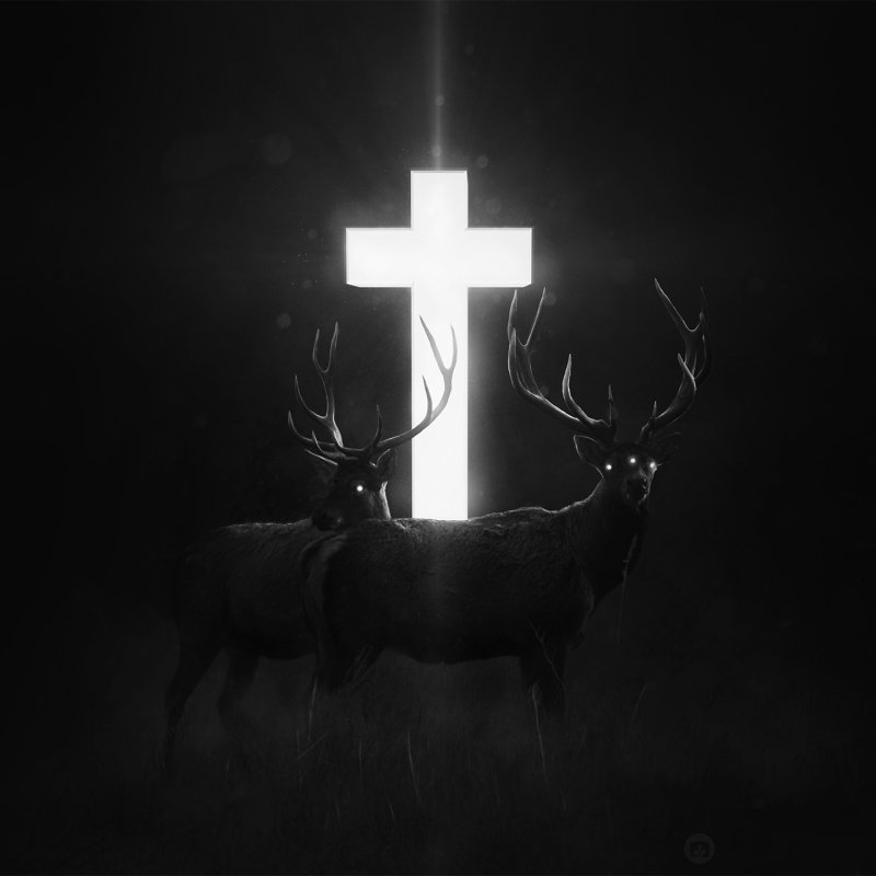 Download Fantasy Deer PFP