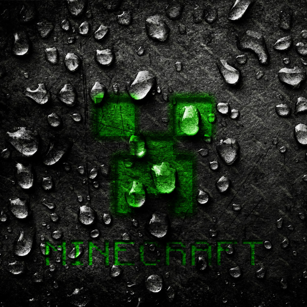 Download Video Game Minecraft PFP