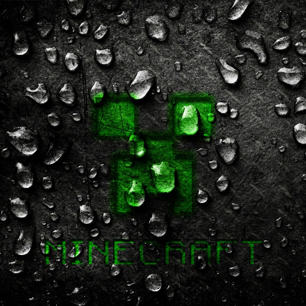 Download Video Game Minecraft PFP