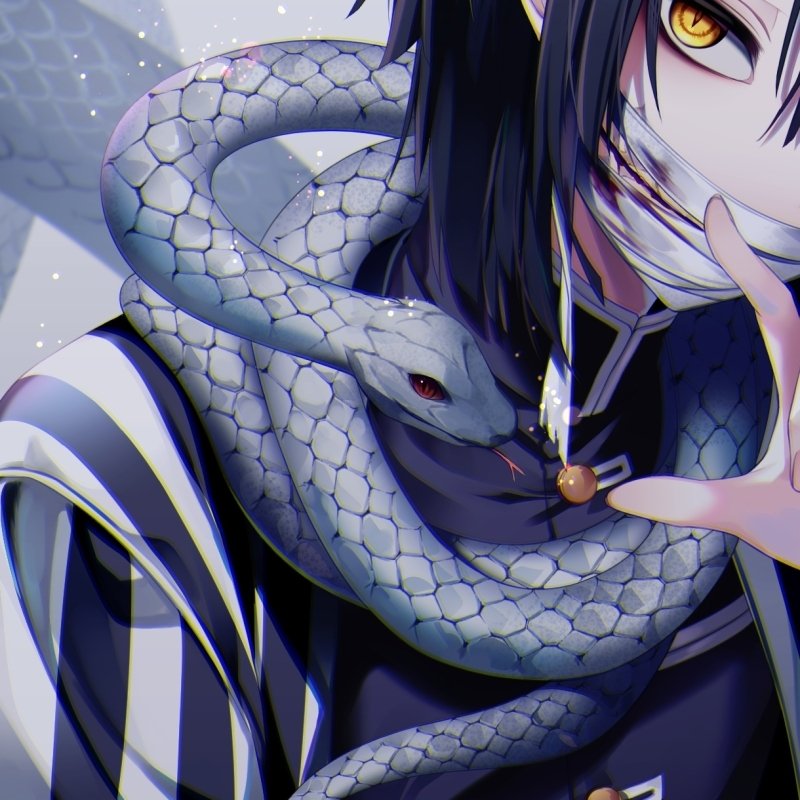 Serpent Gaze, Iguro's Veil, Venomous Hashira, Demon Slayer PFP