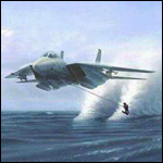 Download Military Jet Fighter PFP