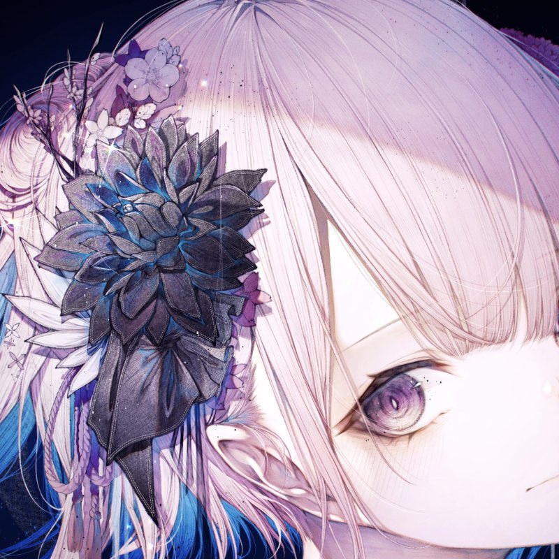 Download Anime Girl Anime Girl PFP