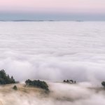Download Nature Fog PFP
