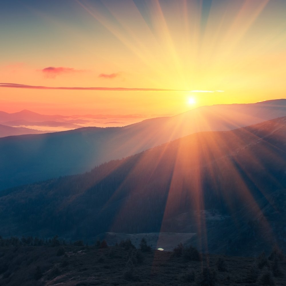 Download Nature Sunrise PFP