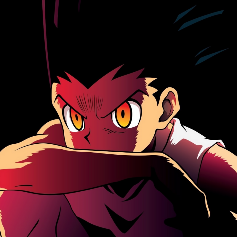 Hunter x Hunter Bold Gaze – Anime Avatar Spotlight