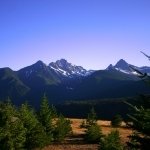 Download Nature Landscape PFP