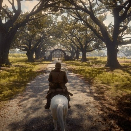 [20+] Red Dead Redemption 2 PFP