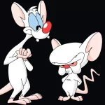 Pinky And The Brain PFP
