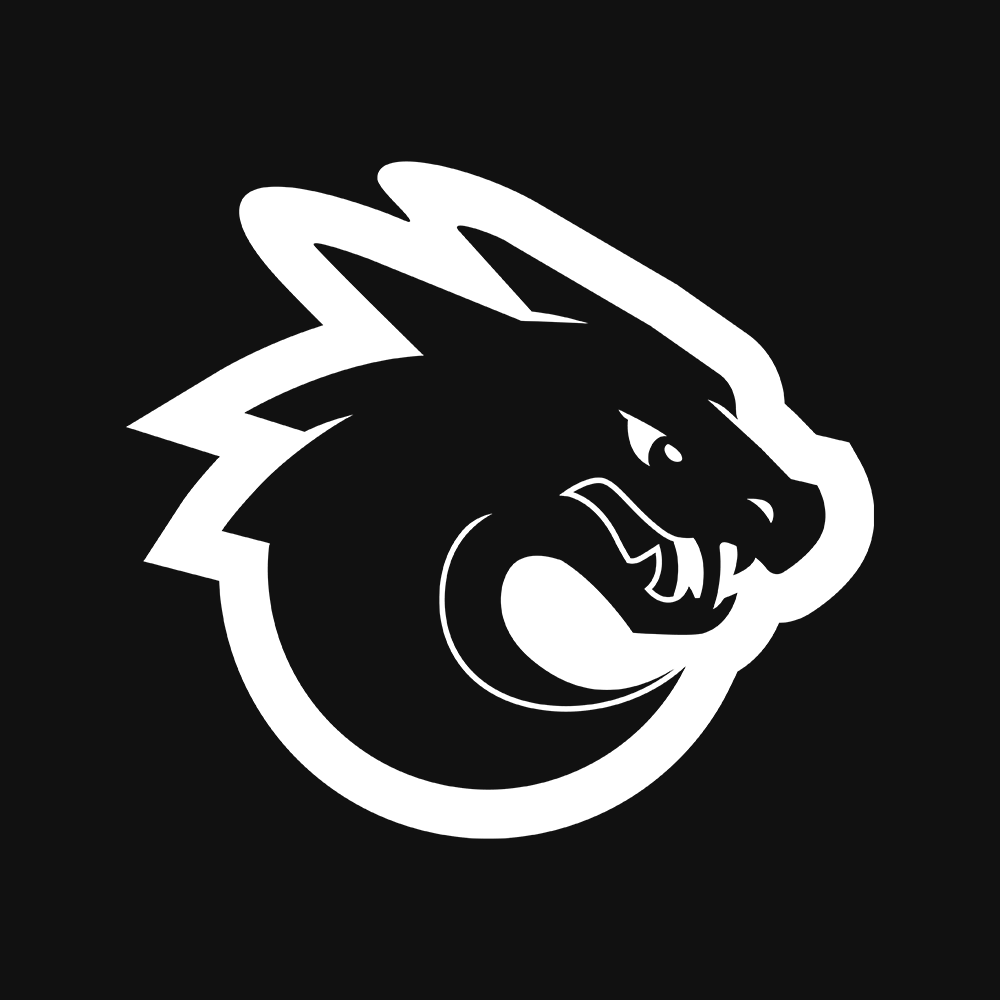 Download Video Game Esports PFP