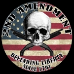 2nd Amendment Pfp