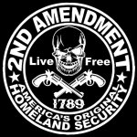 2nd Amendment pfp - Avatar Abyss