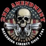 2nd Amendment pfp - Avatar Abyss