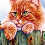 Download Artistic Painting PFP