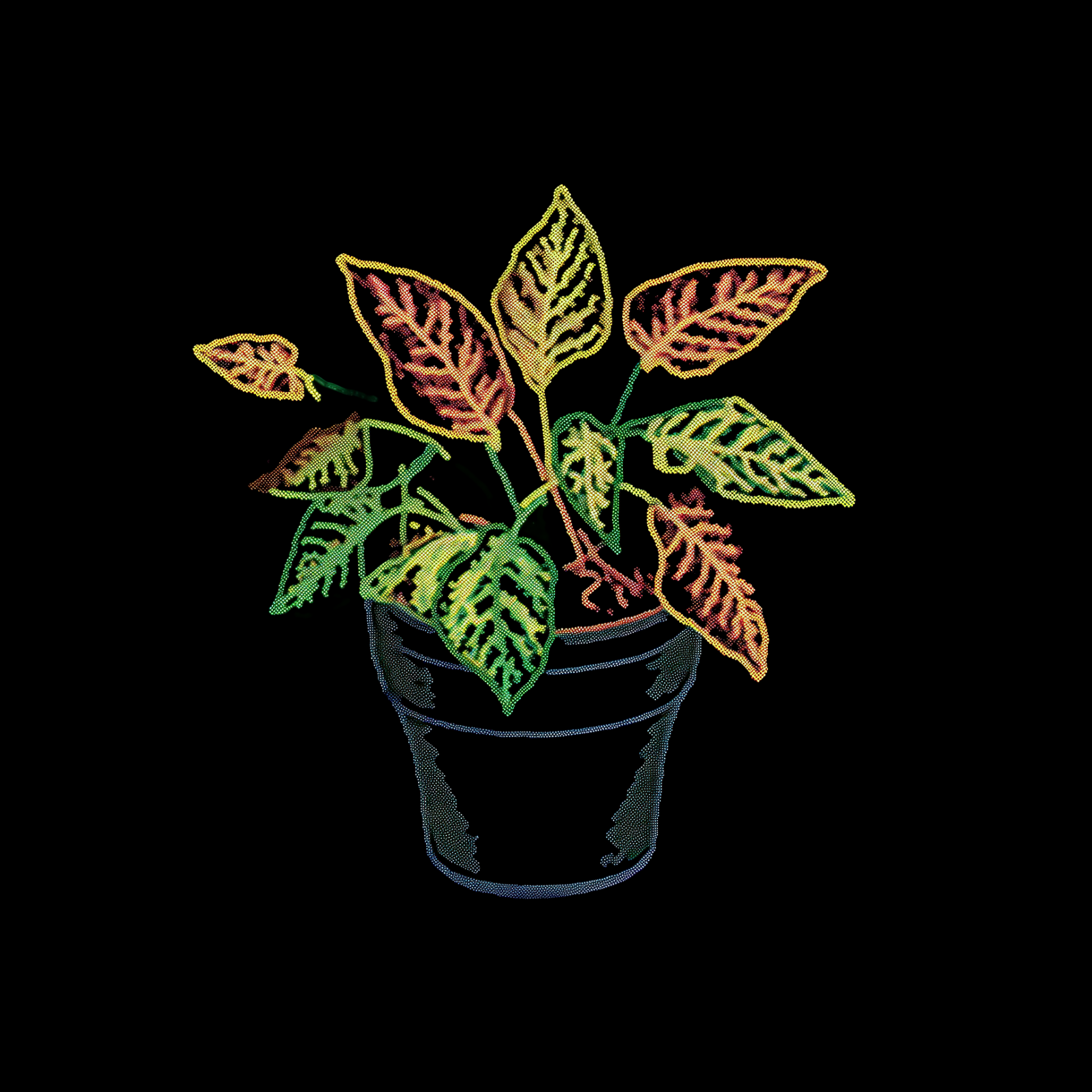 Houseplant PFP