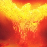 spellforce: shadow of the Phoenix Pfp