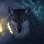 Download Animal Wolf PFP