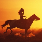 Download Animal Horse PFP