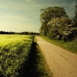 Download Man Made Road PFP