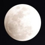 Download Nature Moon PFP