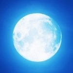 Download Nature Moon PFP