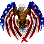 Download Patriotic Eagle Man Made American Flag PFP