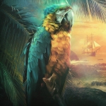 Download Animal Parrot PFP