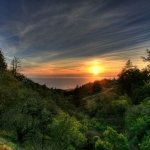 Download Nature Landscape PFP