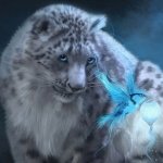 Download Animal Snow Leopard PFP