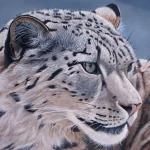 [20+] Snow Leopard PFP