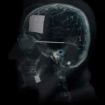 POSTAL 2 - Desktop Wallpapers, Phone Wallpaper, PFP, Gifs, and More!