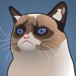 Grumpy Cat - Oh great... I'm a background