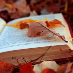 Download Man Made Book PFP