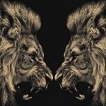 Download Animal Lion PFP