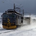 Download Vehicle Train PFP