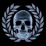 Download Dark Skull PFP