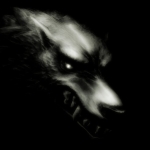 Werewolf Pfp